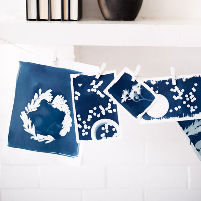 Cyanotype Kit & Video | The Crafter's Box
