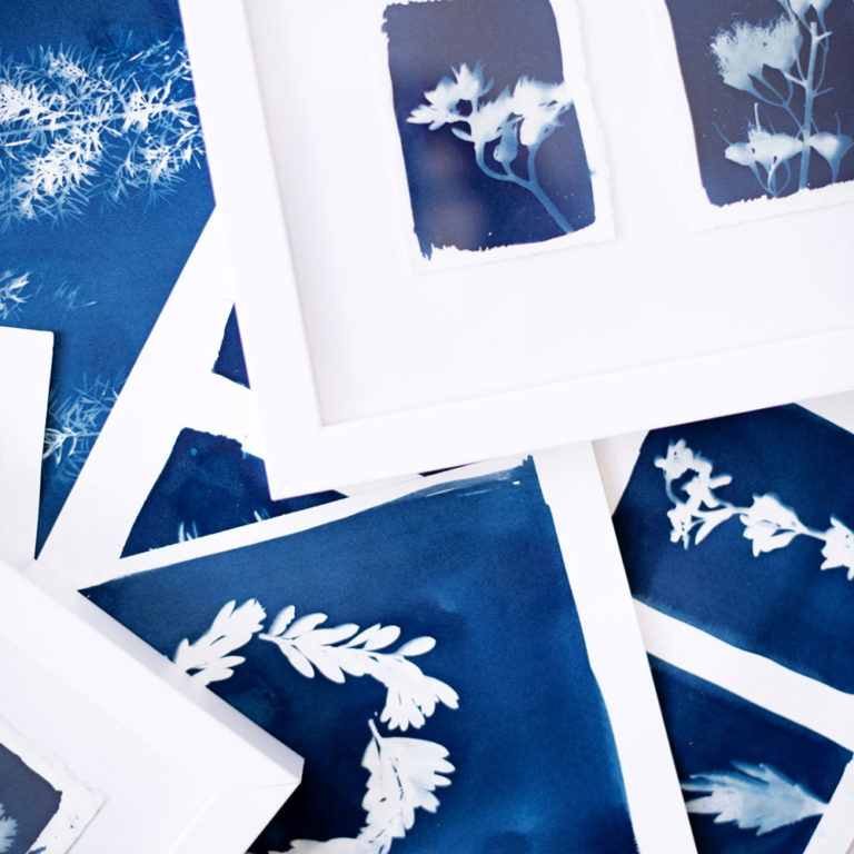 Cyanotype Kit & Video | The Crafter's Box