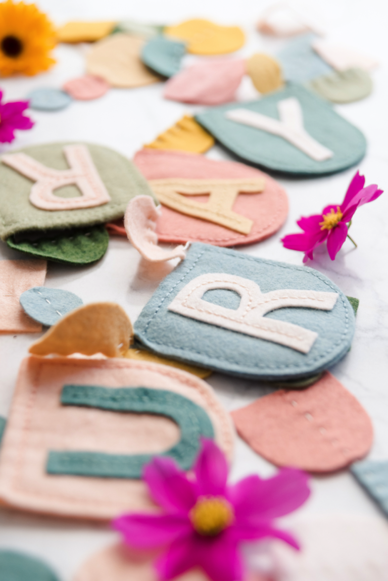 Wool Felt Appliqué Kit & Video | The Crafter’s Box