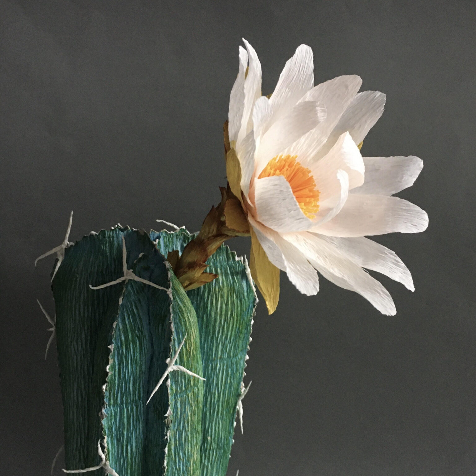 Crepe Paper Flowering Cactus Digital Pattern | Crafter